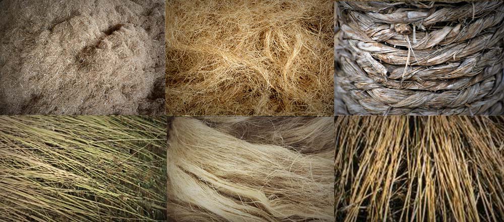 Guide d'extraction fibre végétale de chanvre