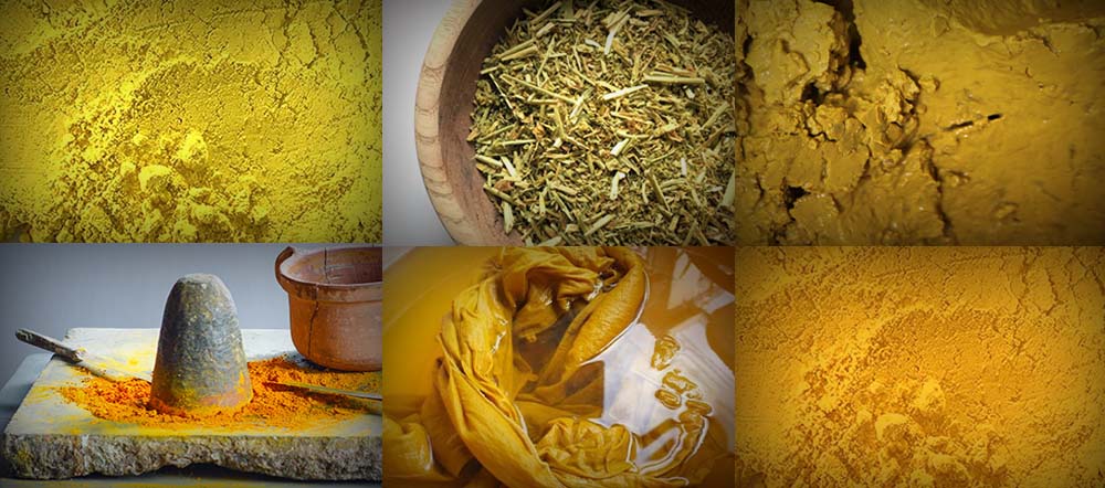 Guide de fabrication pigments végétale jaune de gaude